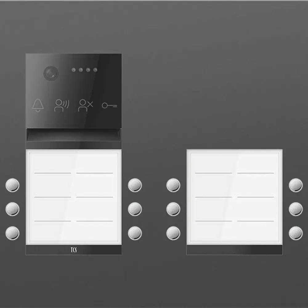 TCS AVU600412-0017 Video Außenstation UP PRO PES 12 Tasten, 2 Spalten ...